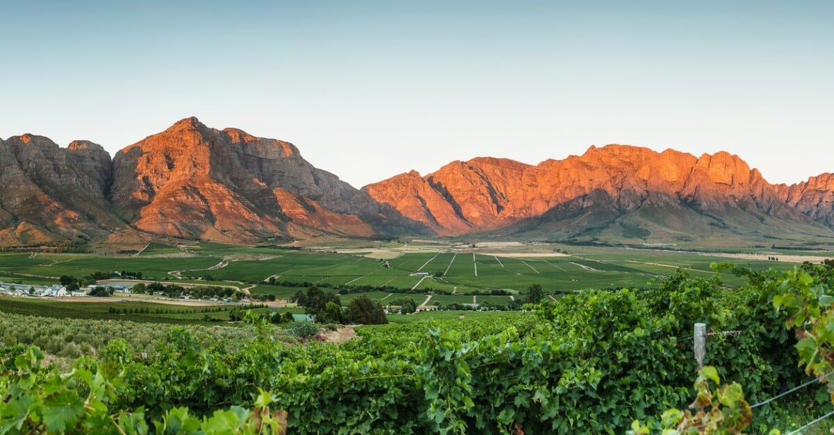 Worcester Wine Region 2026 | South Africa's Alluring Vines ...