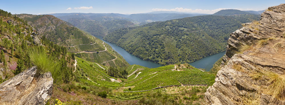 Interesting facts about Albariño | WineTourism.com