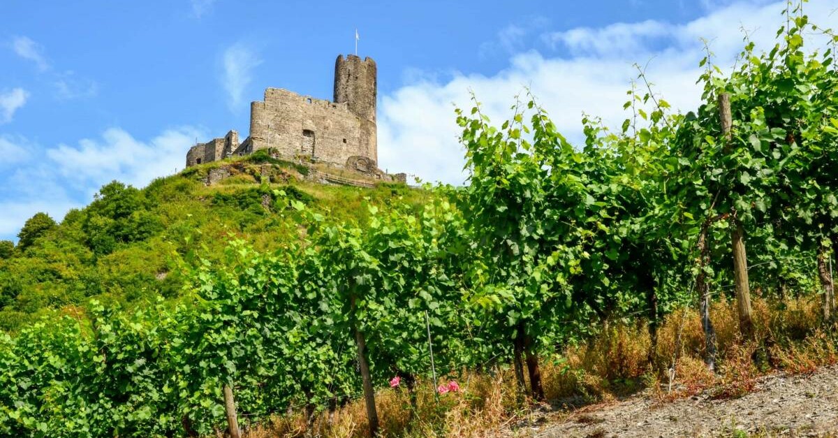 Saar Wine Region 2026: Germany's Elegant Riesling Haven | WineTourism.com