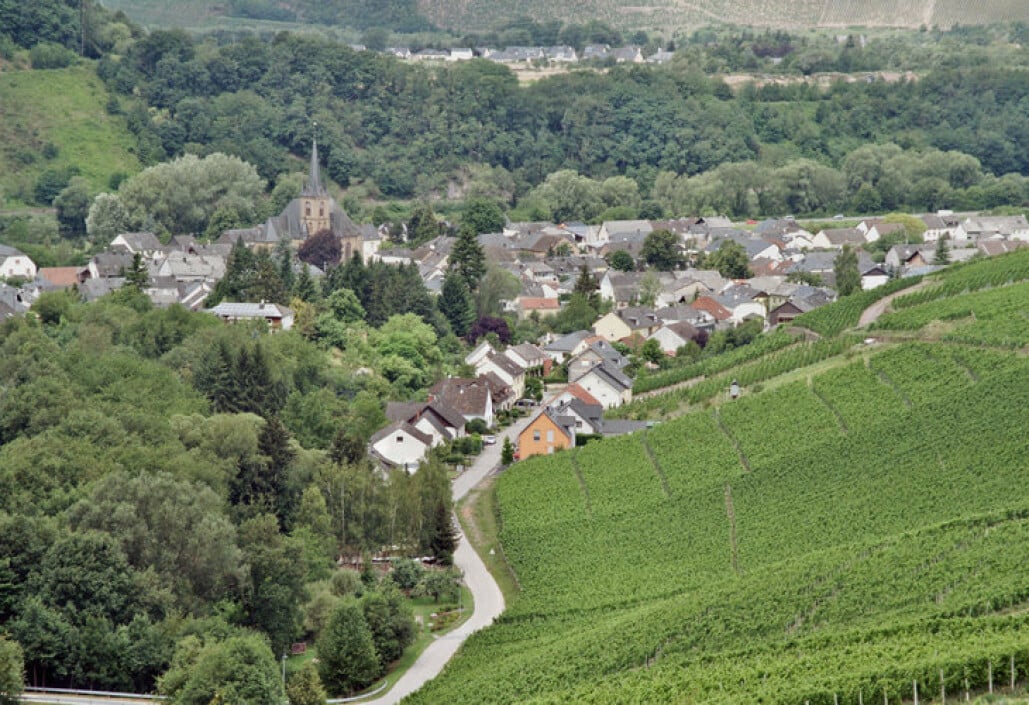 Your 2023 guide to Saar in Mosel Wine Region region | Winetourism.com