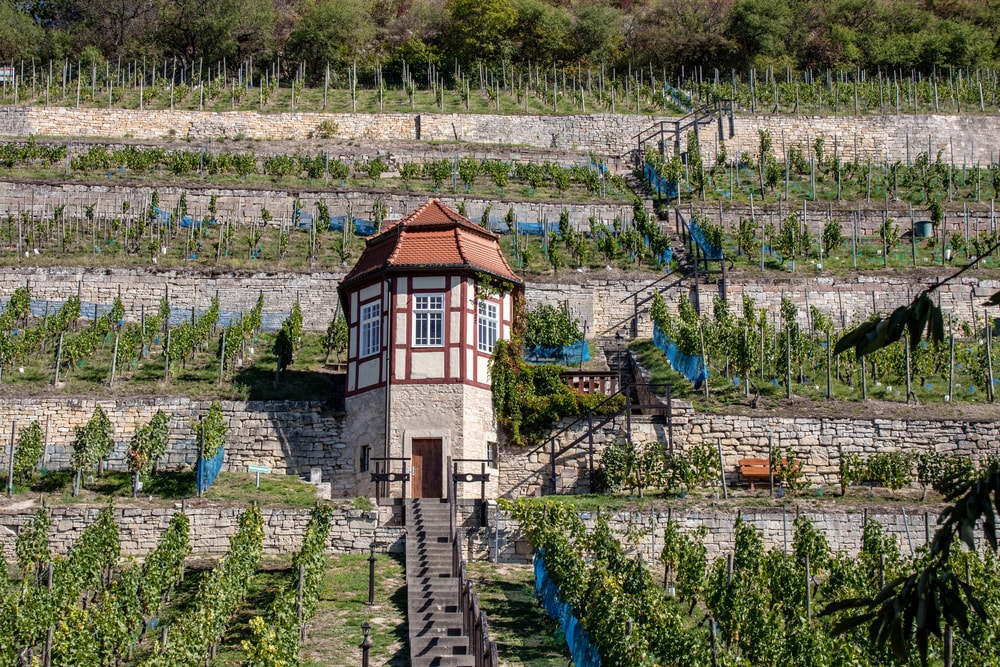 Saale - Unstrut Wine Region Guide | WineTourism.com
