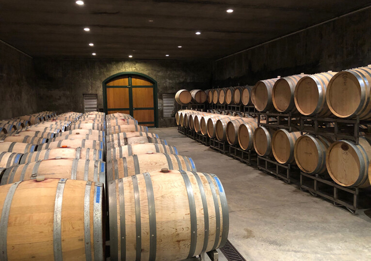 Willamette Valley - Wine Region in Oregon, United States | Winetourism.com