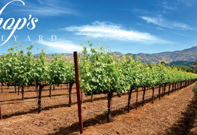 10 best wineries in Coal River Valley to visit in 2023 | Winetourism.com