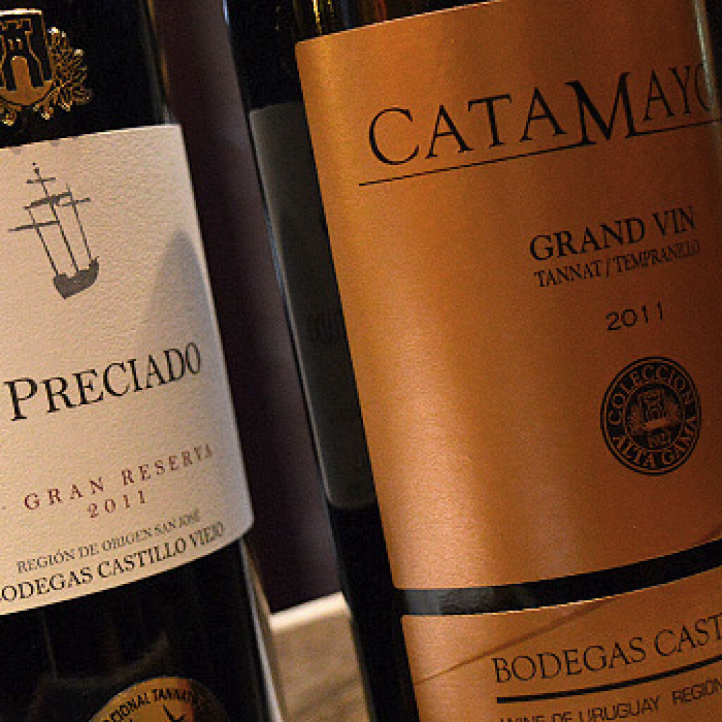 Bodegas Castillo Viejo - Winery in Montevideo | Winetourism.com
