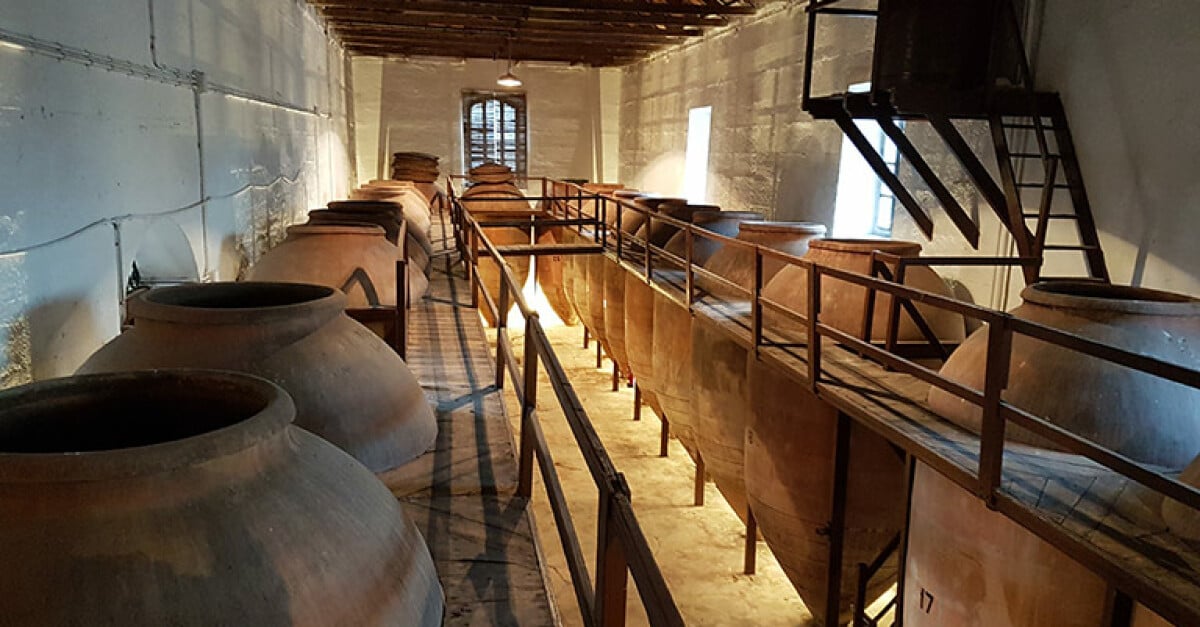 Bodegas Navarro López - Winery in Valdepeñas | Winetourism.com