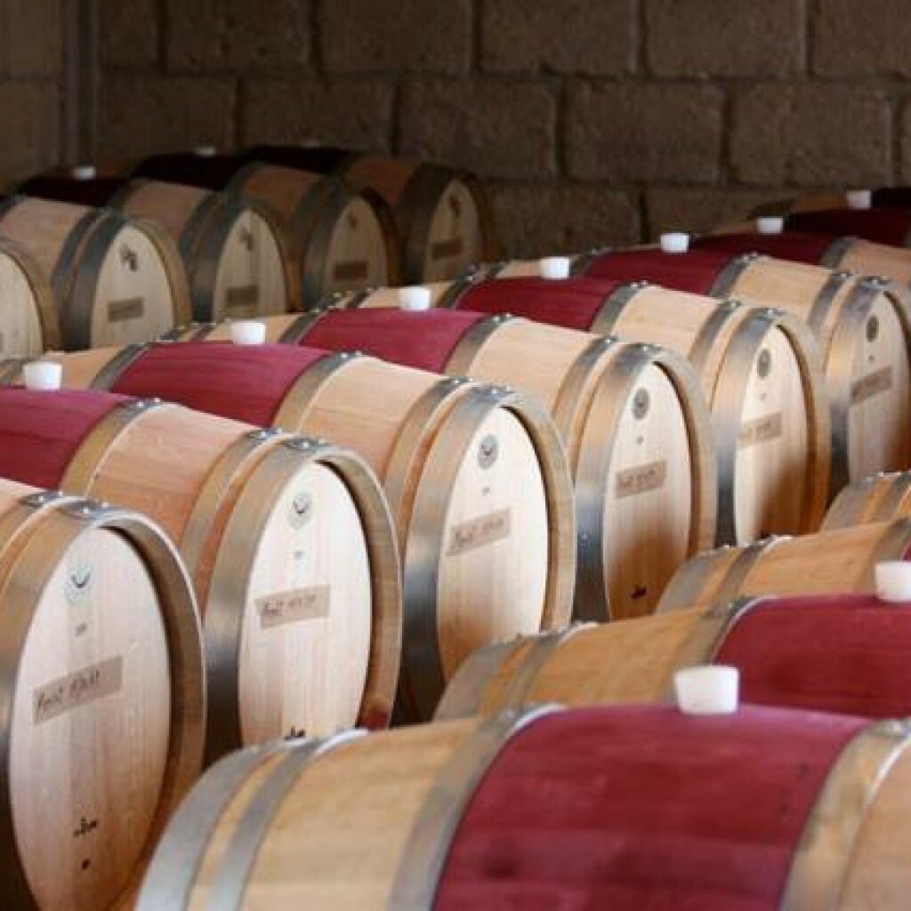 Cuna De Tierra - Winery in Querétaro | Winetourism.com