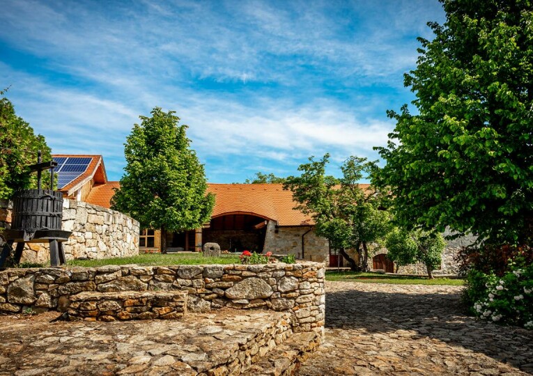 Tokaj Wine Region, Hungary | Winetourism.com