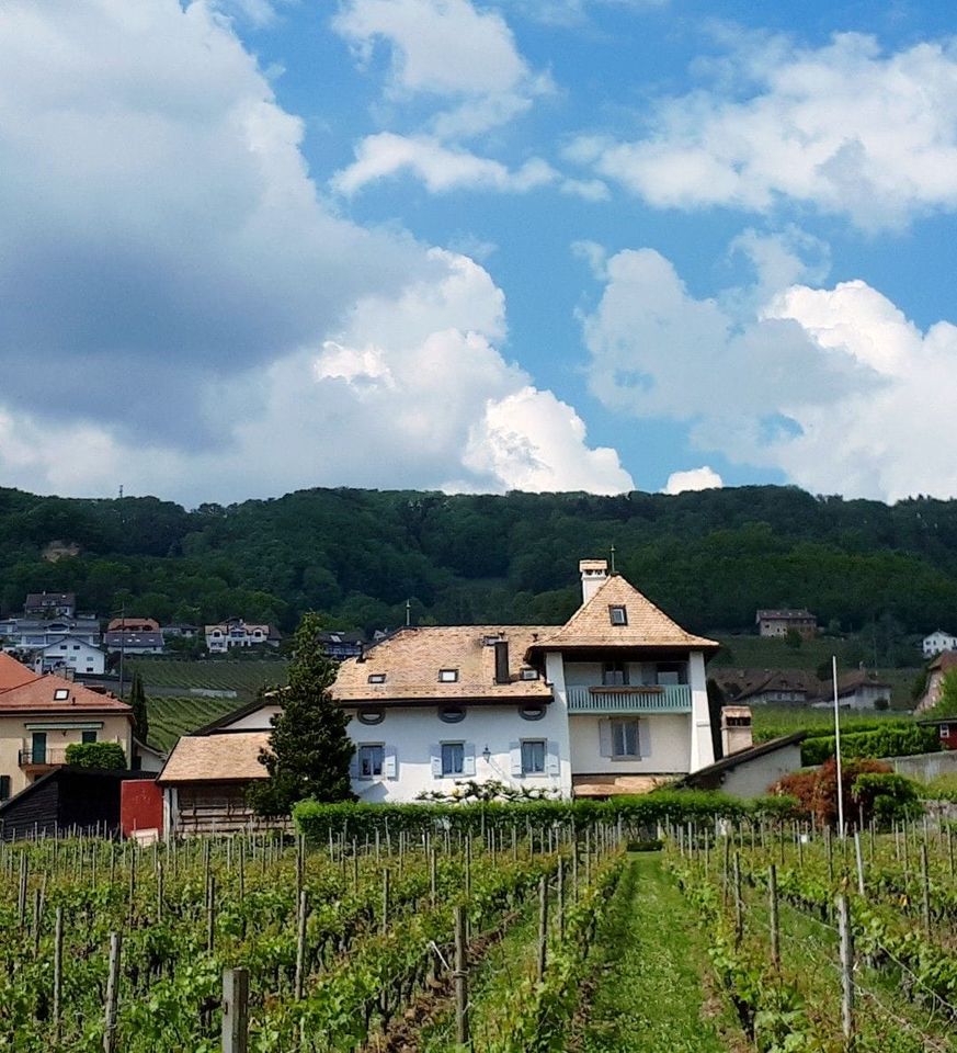 Vaud Wine Region Guide | WineTourism.com