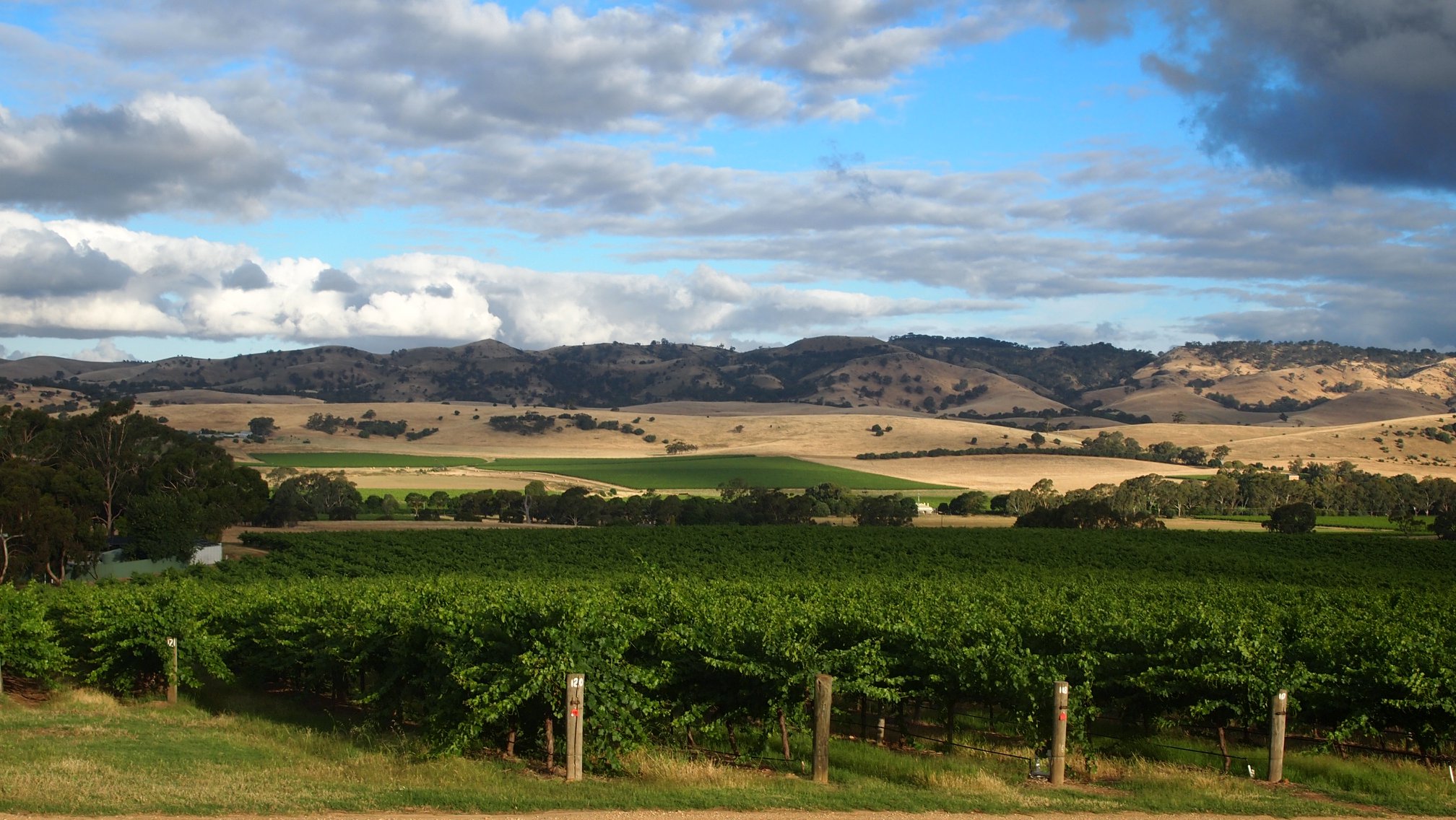 Australian wine regions - Wine tasting & tours | Winetourism.com