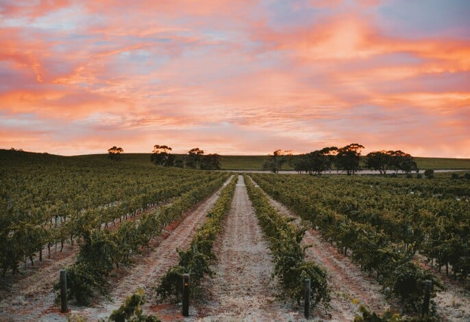 Clare Valley - Wine Region in South Australia, Australia | Winetourism.com