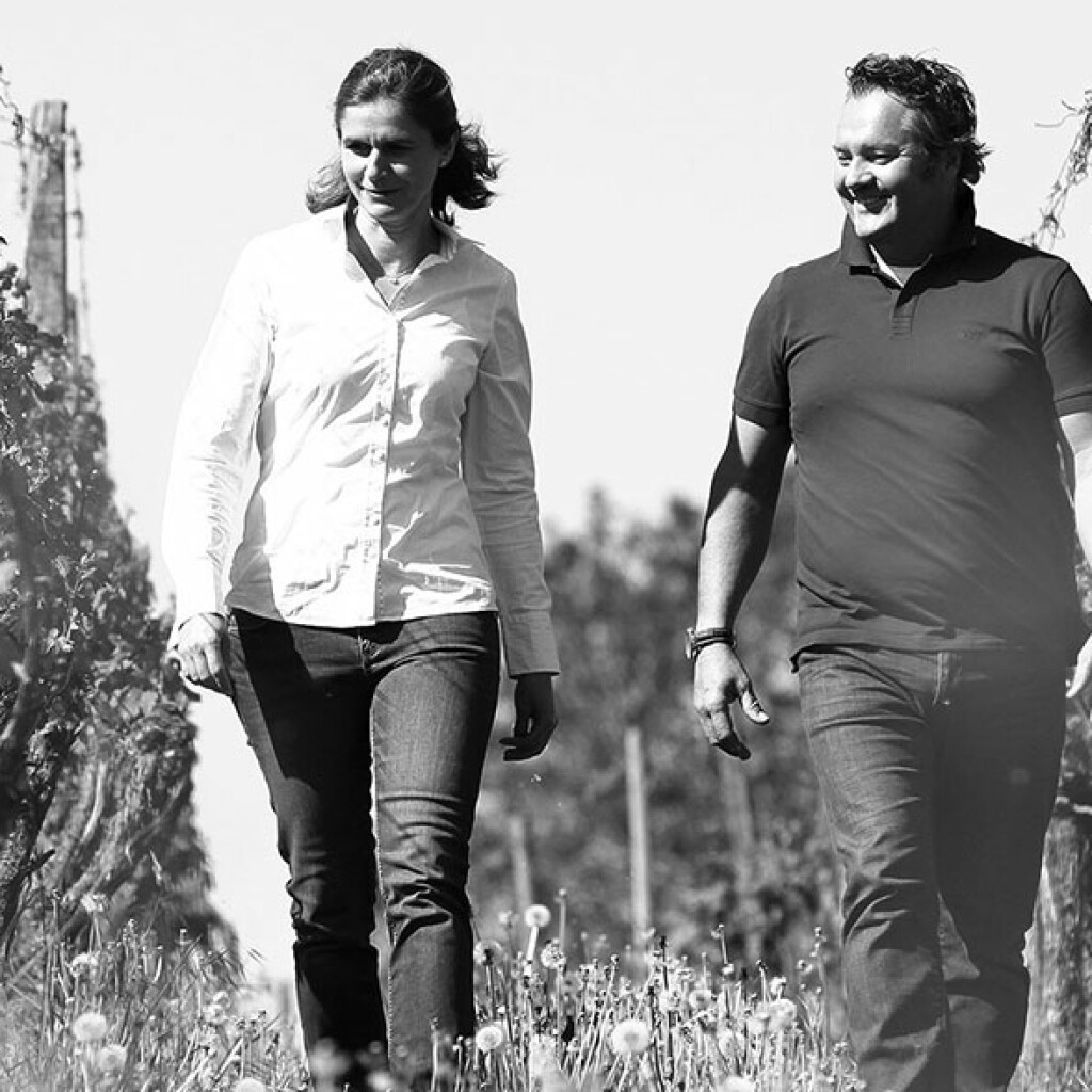 Wine Tasting & Tour at Matthias Dostert Winery, Mosel | Winetourism.com