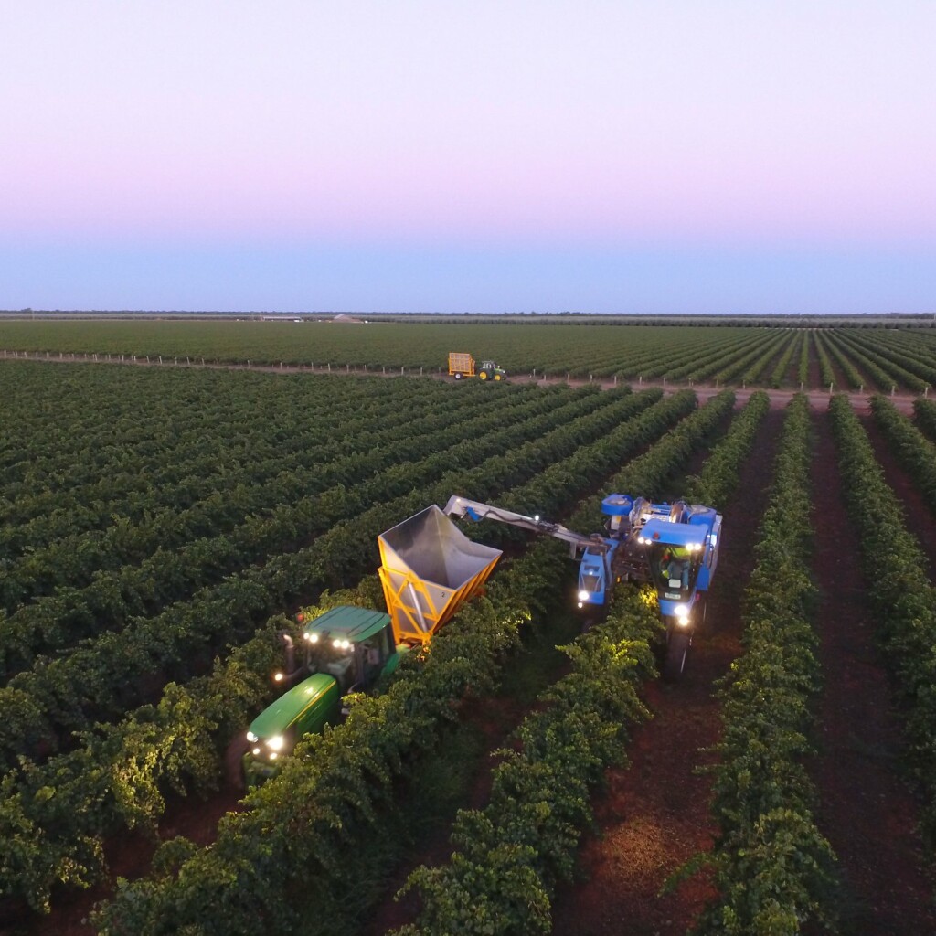 Nugan Estate Wine Tasting & Tour in Riverina NSW | Winetourism.com