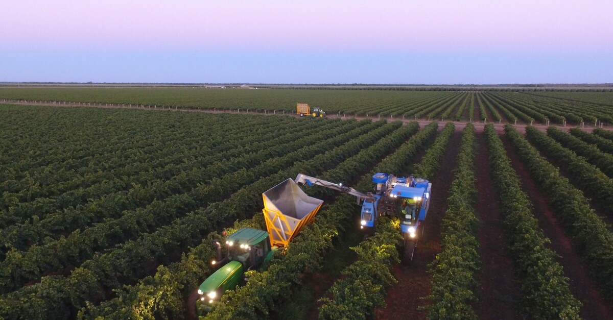 Nugan Estate Wine Tasting & Tour in Riverina NSW | Winetourism.com