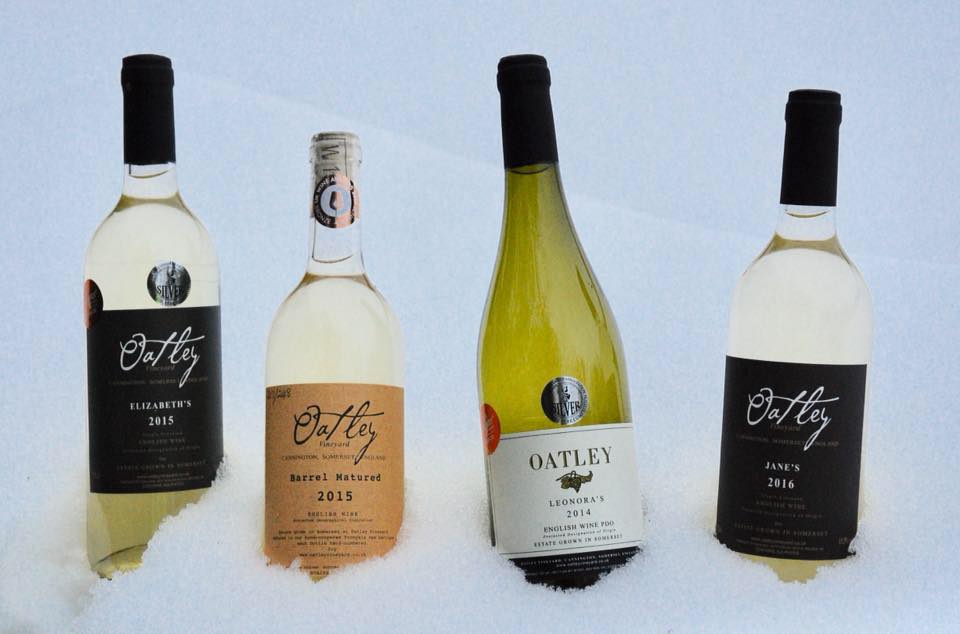 Oatley Vineyard - Wine tasting & tour | Winetourism.com