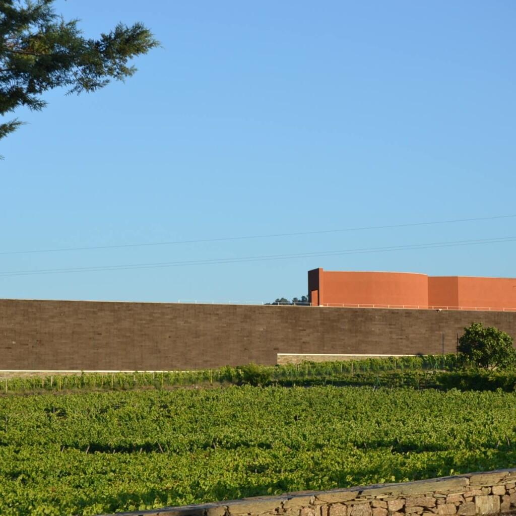 Quinta Do Portal - Winery in Região Demarcada Do Douro | Winetourism.com