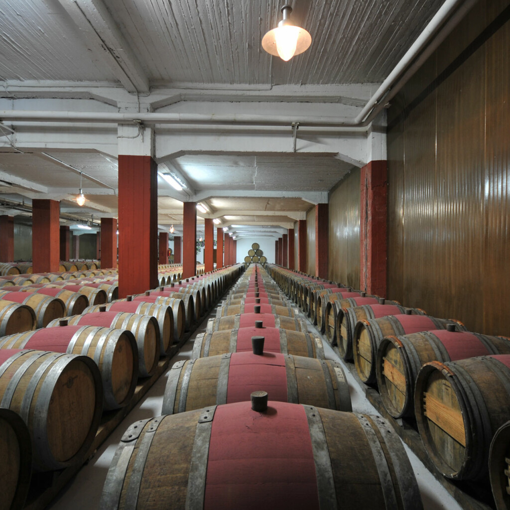 Vaeni Naoussa - Winery in Naoussa | Winetourism.com