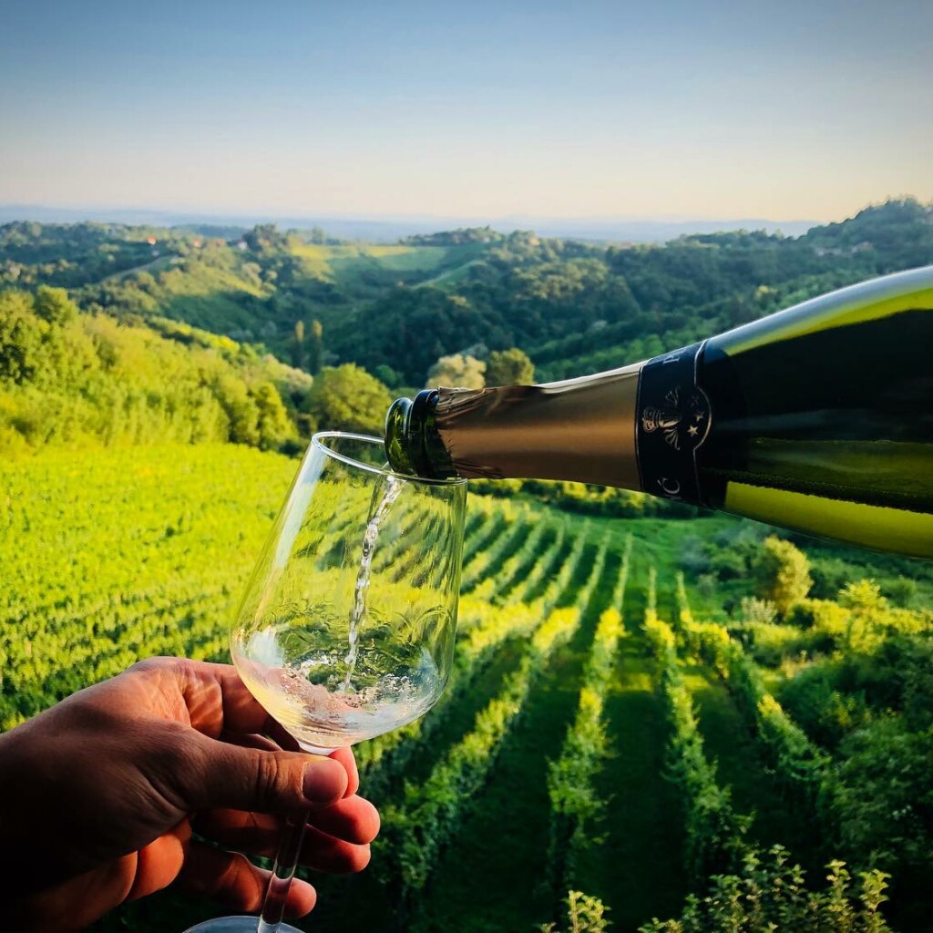 Vinarija Jagunić - Winery in Croatian Uplands | Winetourism.com