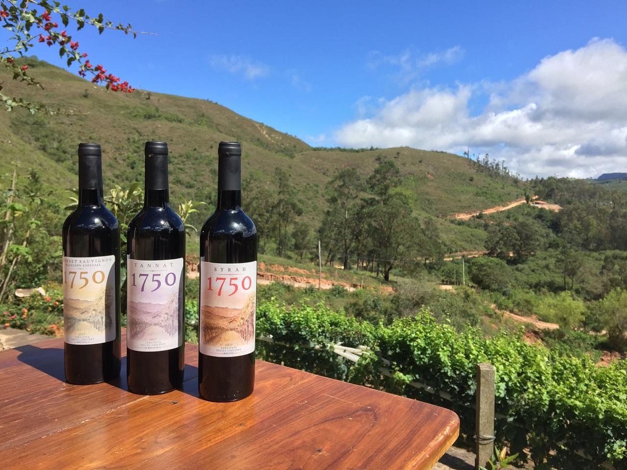 Vinos 1750 - Uvairenda - Wine tasting & tour | Winetourism.com