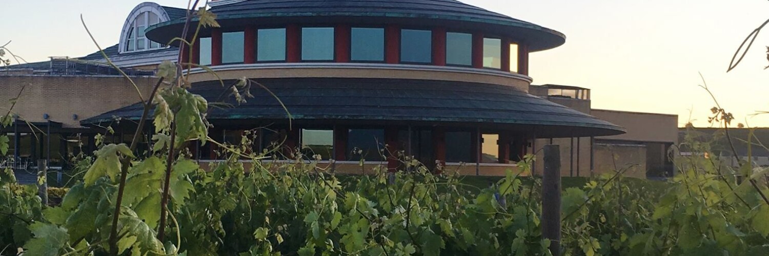 Vivanco - Winery in Rioja | Winetourism.com