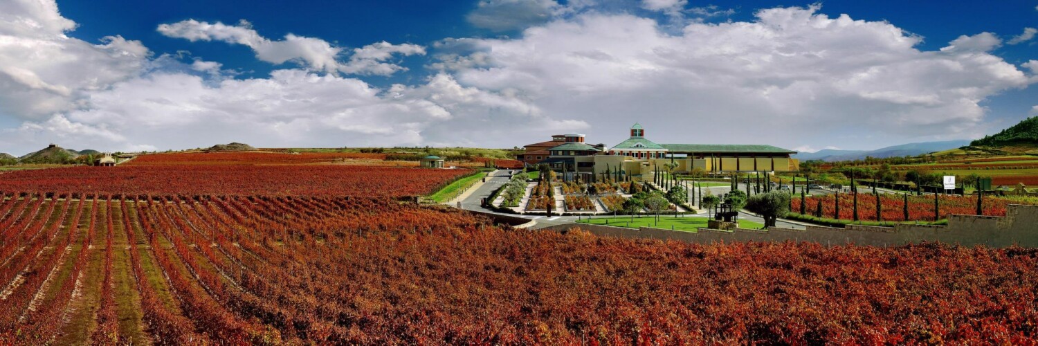 Vivanco - Winery in Rioja | Winetourism.com