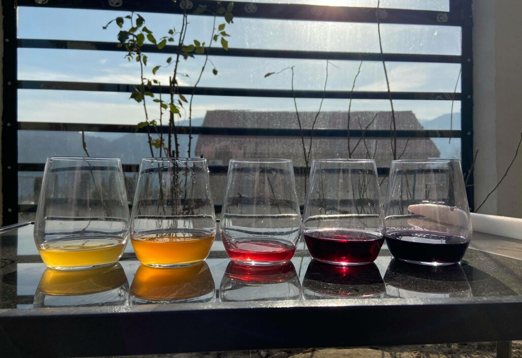 Andrias Gvino - Wine and Cheese Tasting at Andrias Gvino in ...