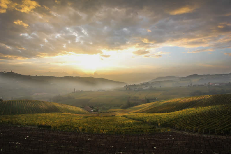Matteo Soria - Wine Tasting & Tour | Winetourism.com
