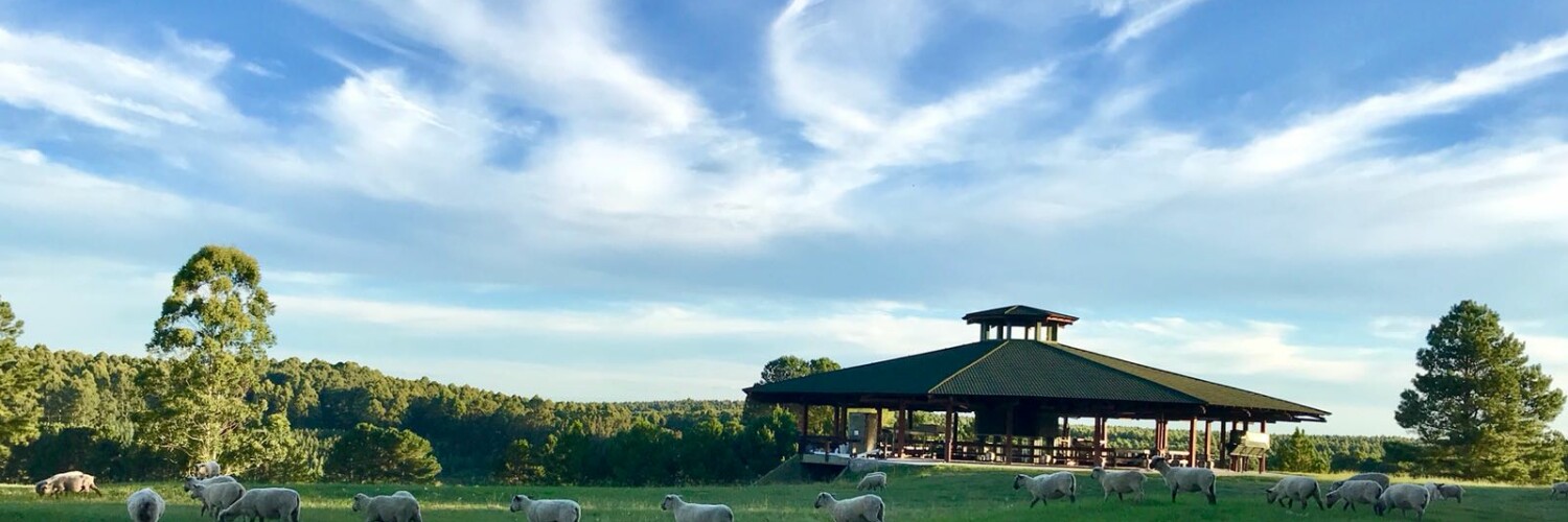 Bodega Cerro Chapeu - Winery in Montevideo, Uruguay | Winetourism.com