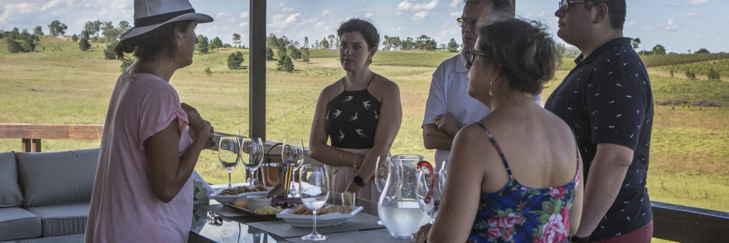 Bodega Cerro Chapeu - Winery in Montevideo, Uruguay | Winetourism.com