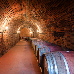 Castello Monterinaldi - Winery in Tuscany | Winetourism.com