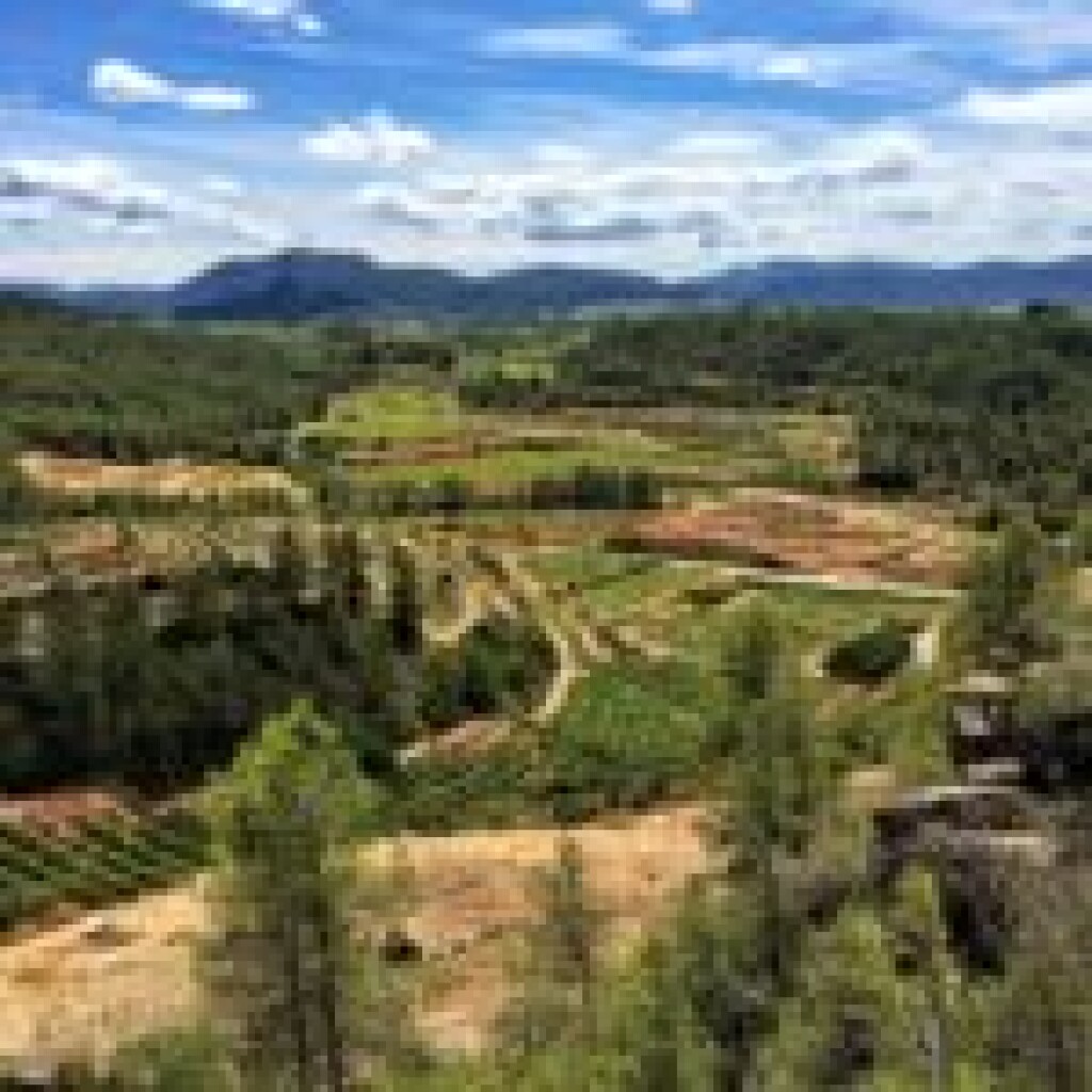 Montsant Wine Region 2026: Spain's Hidden Gem | WineTourism.com