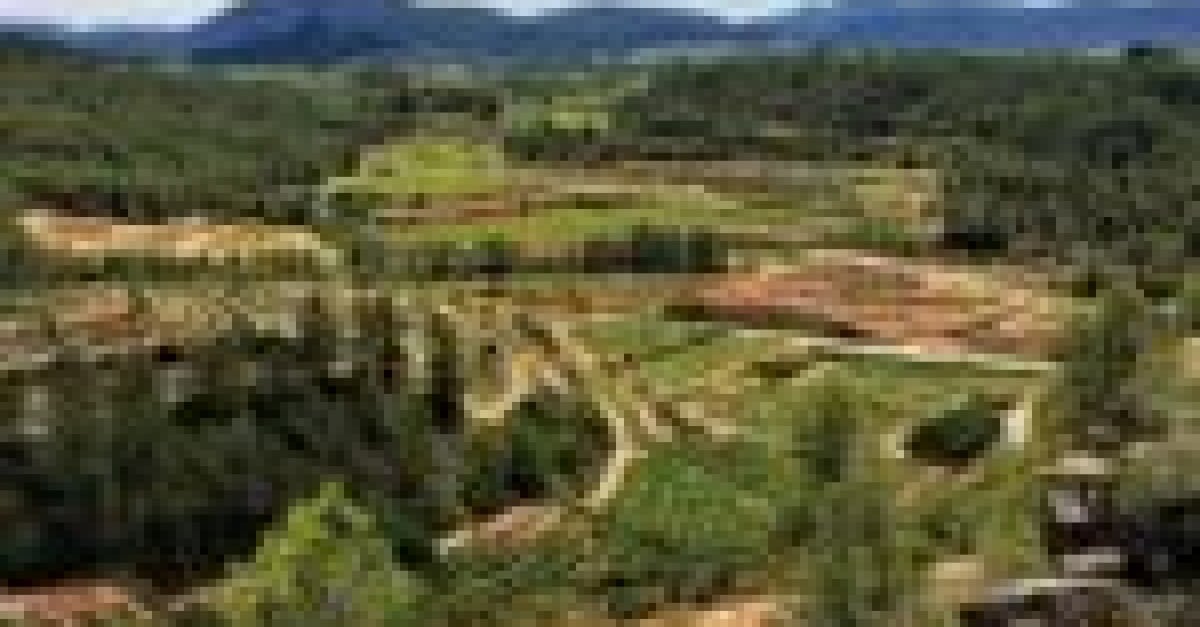 Montsant Wine Region 2026: Spain's Hidden Gem | WineTourism.com