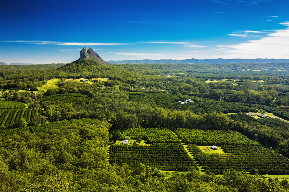 Your 2022 guide to Queensland wine region | Winetourism.com