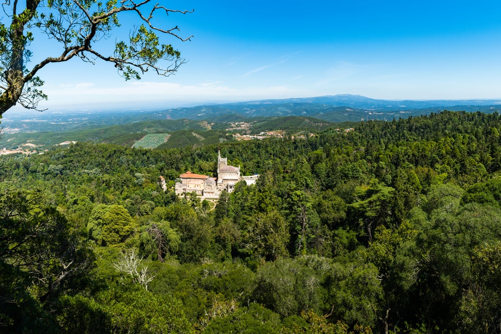 Bairrada (Beira Atlântico) Wine Region Guide | WineTourism.com