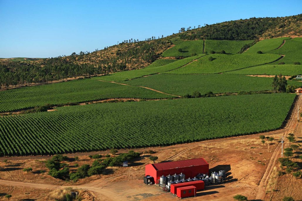 Chilean wine regions - Country Chile | Winetourism.com
