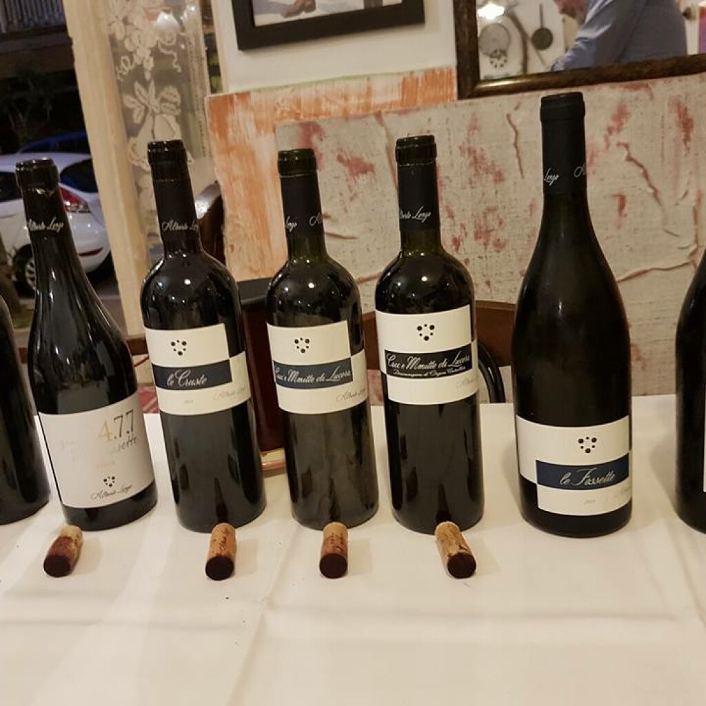 Agricole Alberto Longo - Winery in Puglia | Winetourism.com