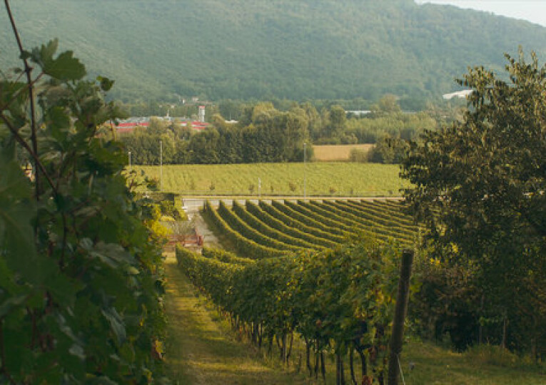 Travel Guide to Lombardy Wine Region, Italy | Winetourism.com