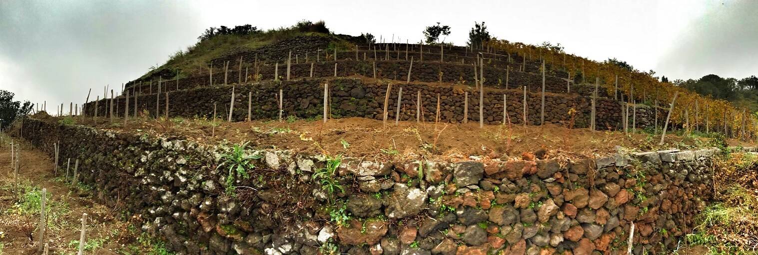 Biondi - Wine tasting and snacks at Biondi in Sicily | Winetourism.com