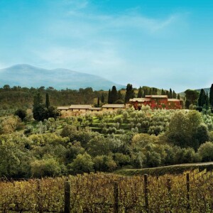 Biondi - Wine tasting and snacks at Biondi in Sicily | Winetourism.com