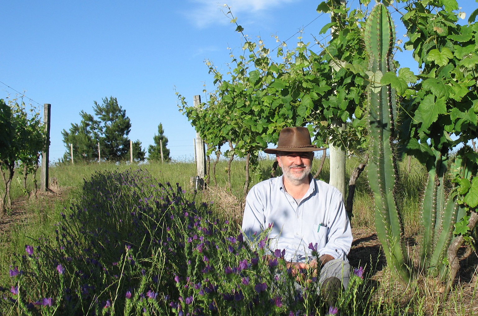 Bodega Cerro Chapeu - Wine tasting & tour | Winetourism.com