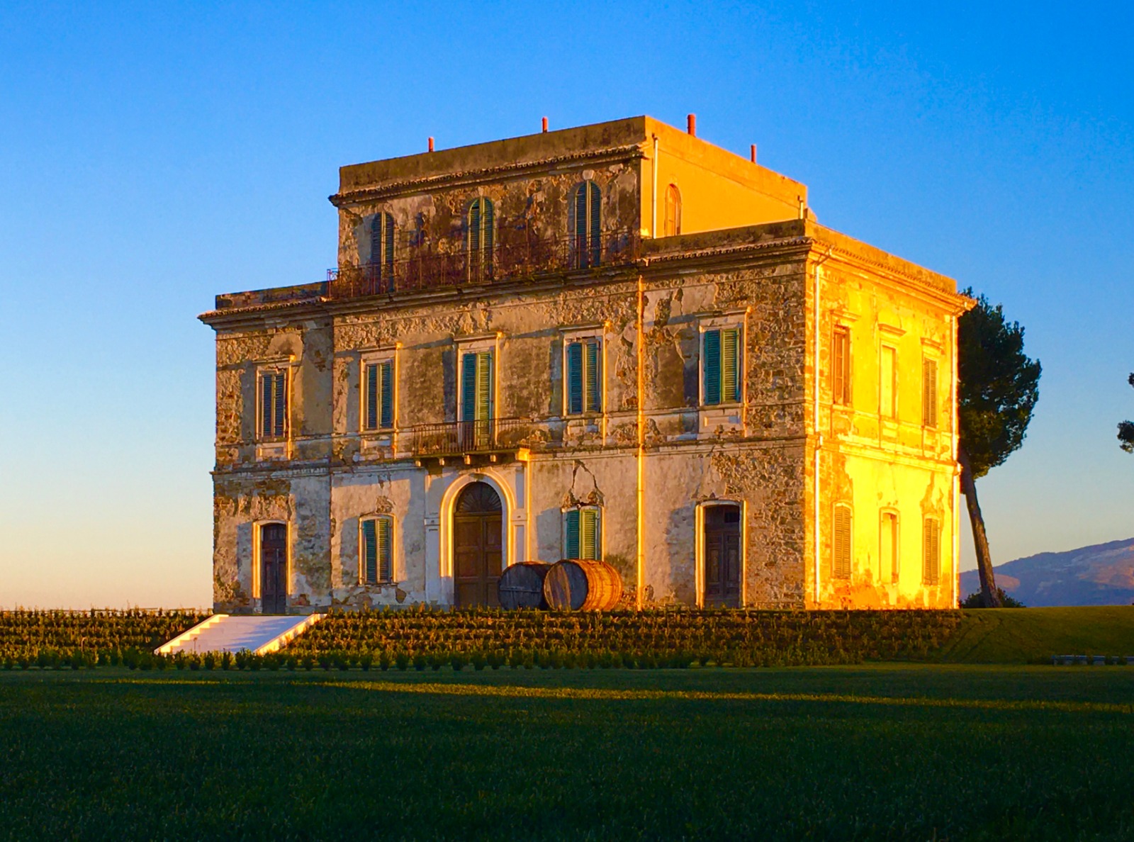 Castorani - Winery in Abruzzo | Winetourism.com