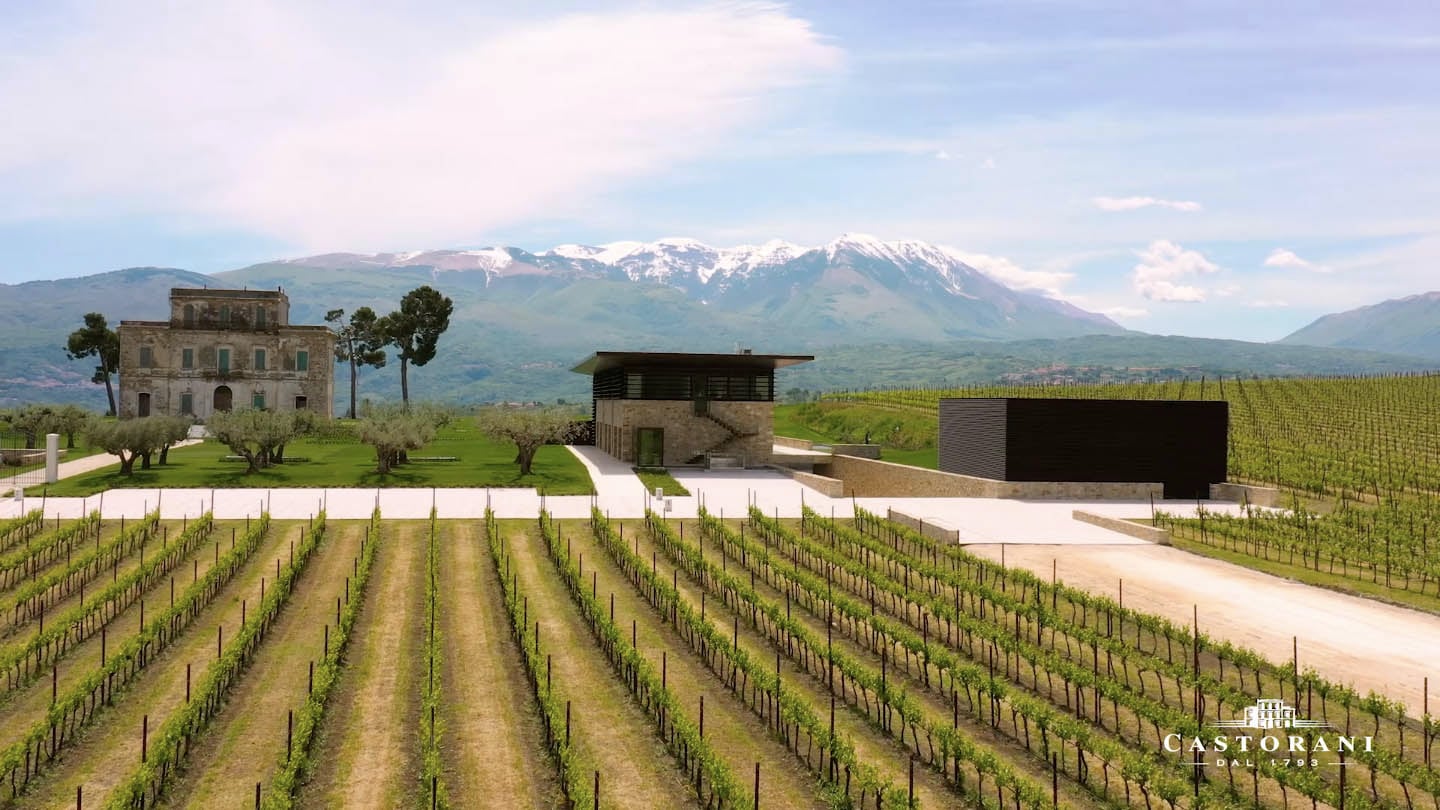 Castorani - Wine tasting & tour | Winetourism.com