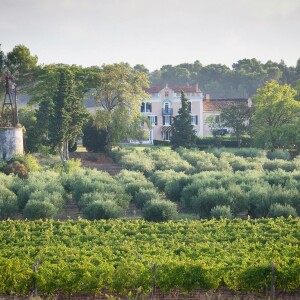 Château Canet - Winery in Languedoc | Winetourism.com