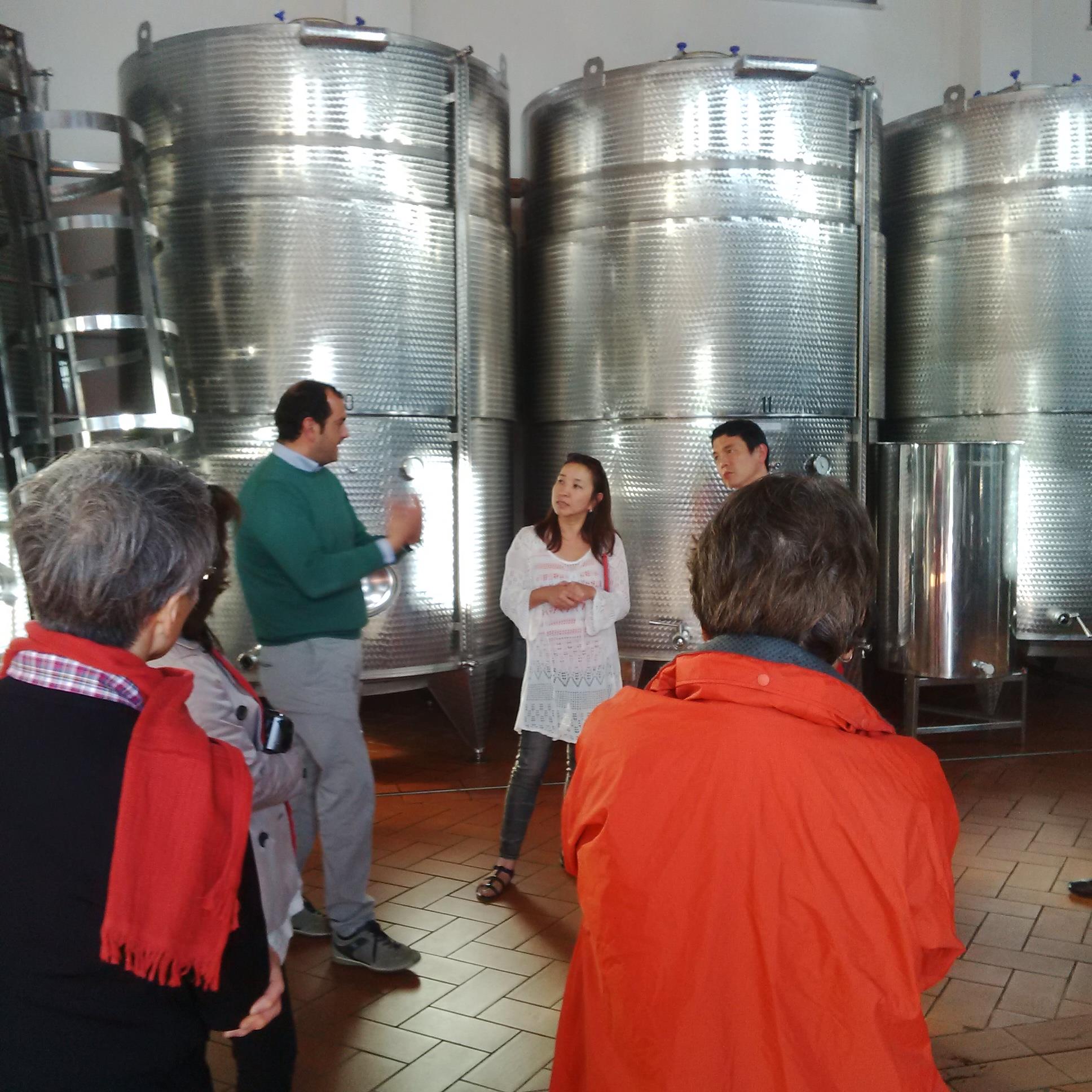 Colacino Wines - Winery in Calabria | Winetourism.com