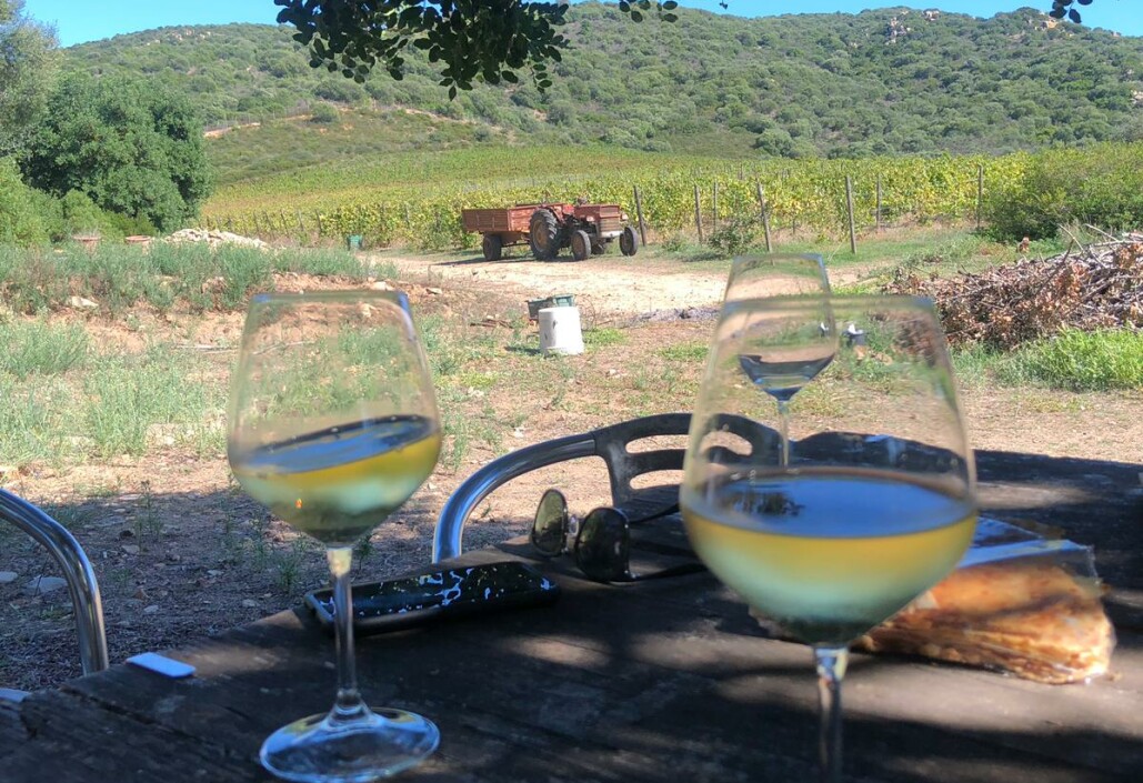 10 best wine tours & tastings in Italy 2023 | Winetourism.com