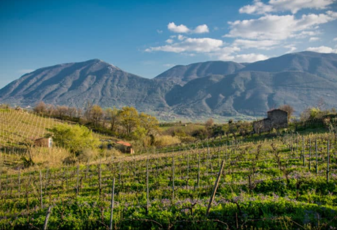 Galluccio - Wine Region in Campania, Italy | Winetourism.com