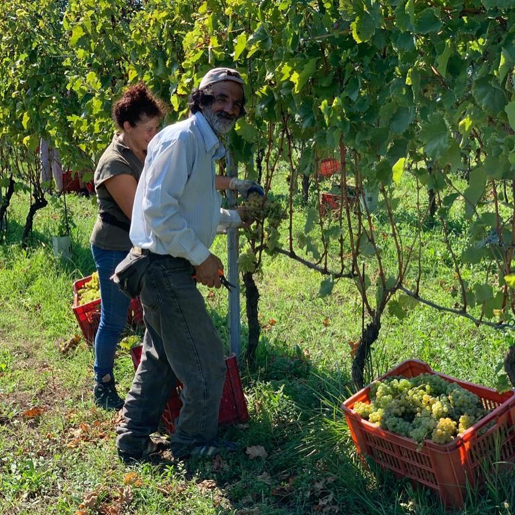 Crotin 1897 - Wine tasting & tour | Winetourism.com