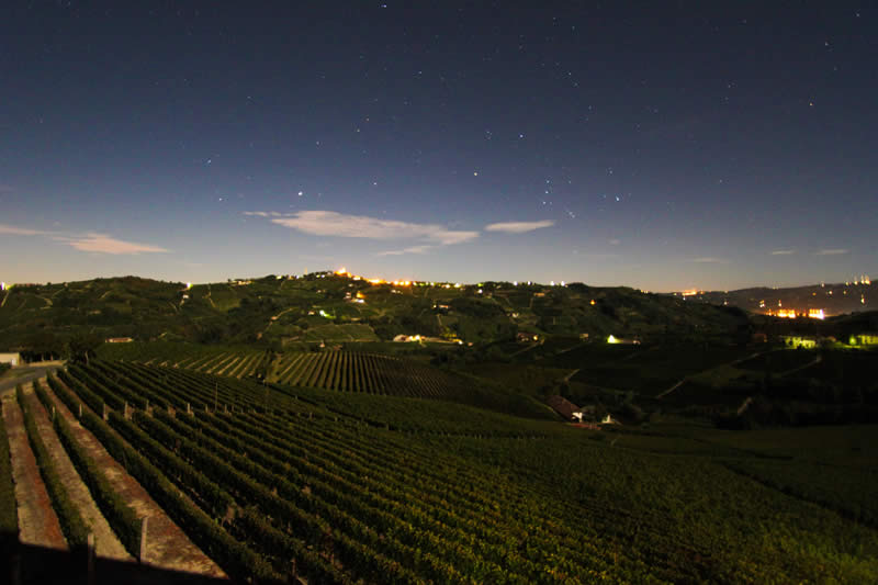 Matteo Soria - Wine Tasting & Tour | Winetourism.com