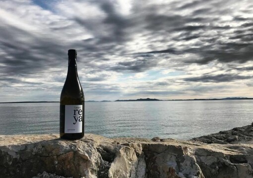 Primorska Wine Region, Slovenia | Winetourism.com