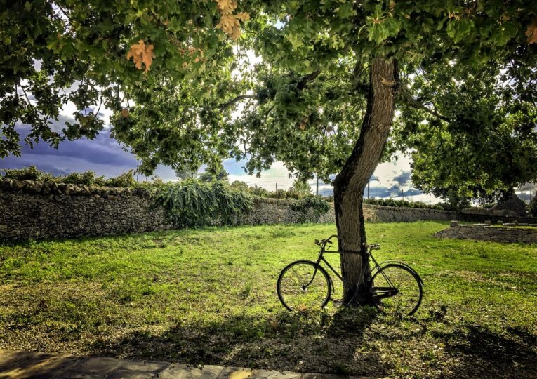 Your 2022 guide to Puglia wine region | Winetourism.com