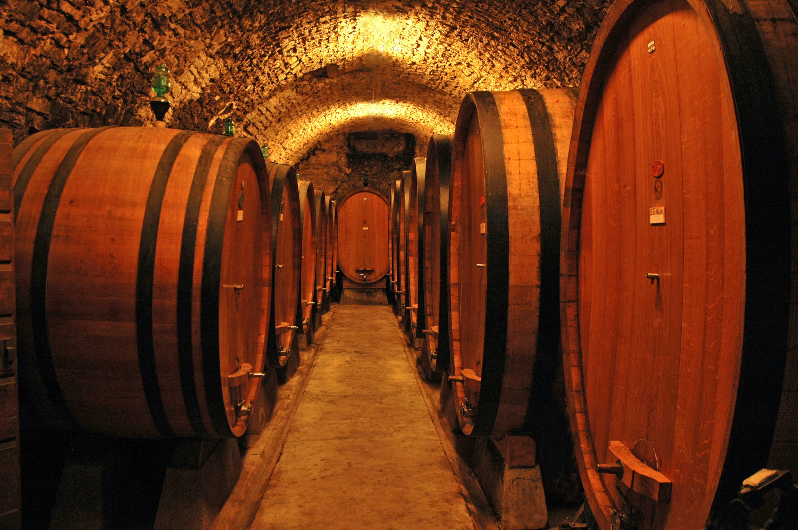 La Castellina - Winery in Tuscany | Winetourism.com